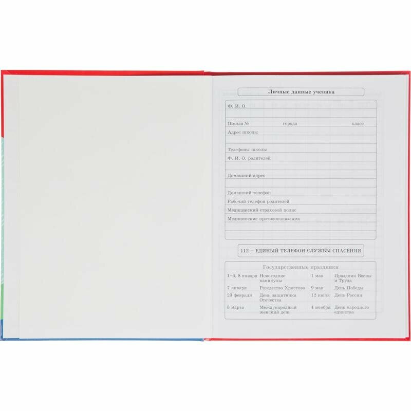Дневник школьный №1 School ColorPics 1-11 классы твердая обложка, 1839462