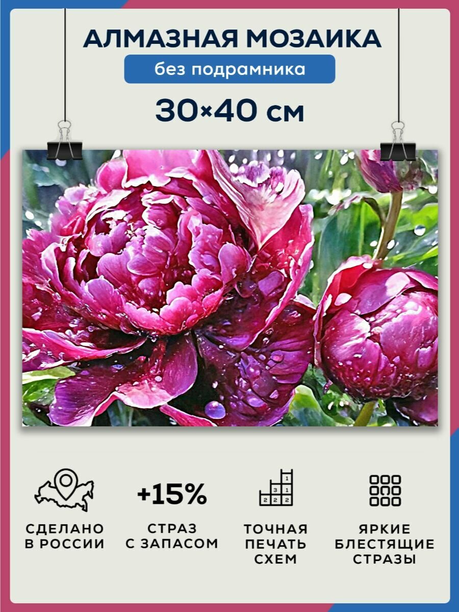 Алмазная мозаика 30x40 Пионы без подрамника