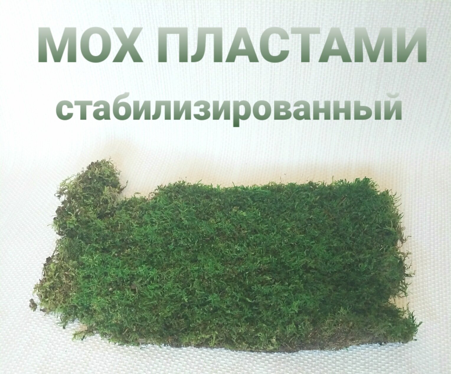 Стабилизированный мох ИП Горлов ДА, зелёный, пластами, 500 г