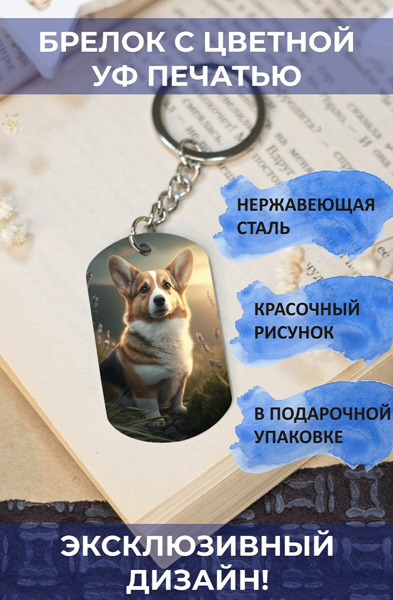 Брелок PNP