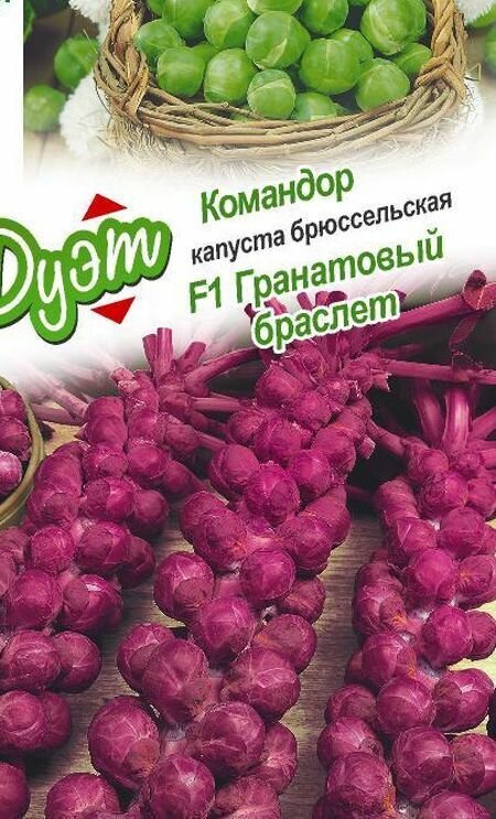Семена Капуста брюссельская Гранатовый браслет F1 + Командор серия Дуэт