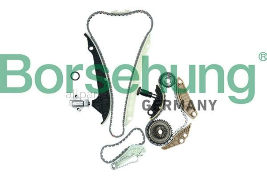 BORSEHUNG B19209 Комплект цепи ГРМ