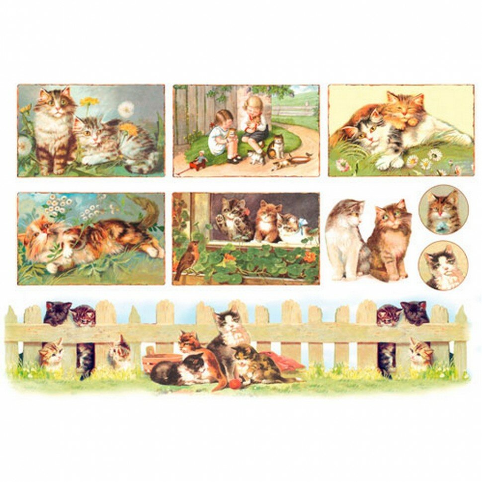 #DFS065 Бумага рисовая 48 x 33 см Stamperia