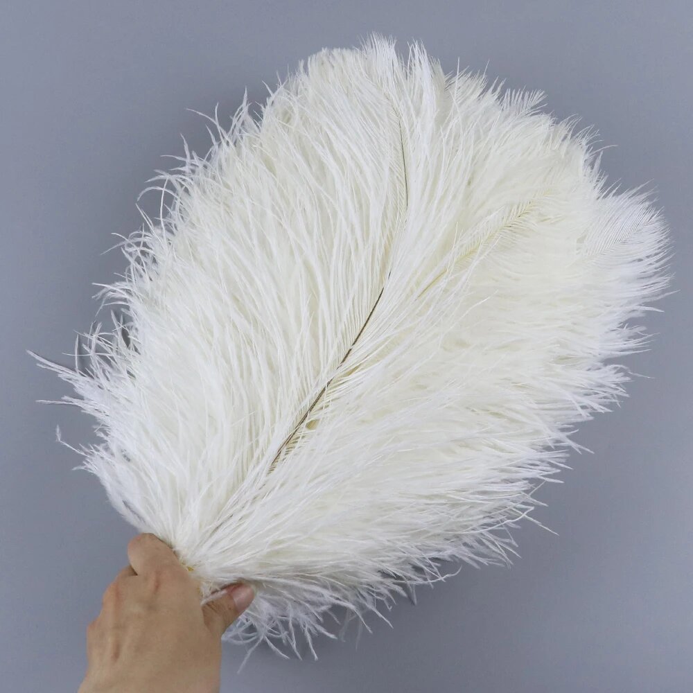 Натуральные страусиные перья для декора 10 шт. 15-20cm, White