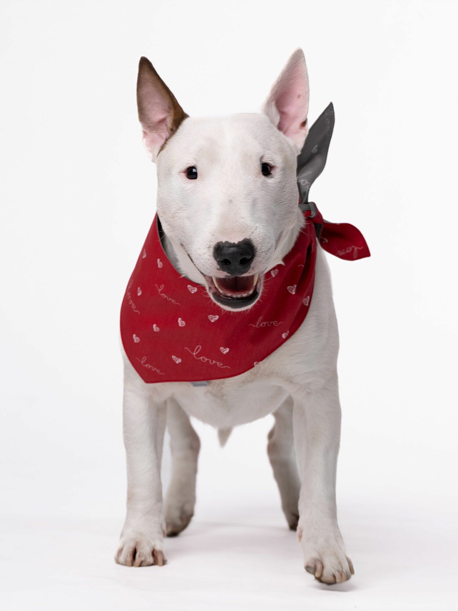 Бандана двухсторонняя для собак "Love", размер L
