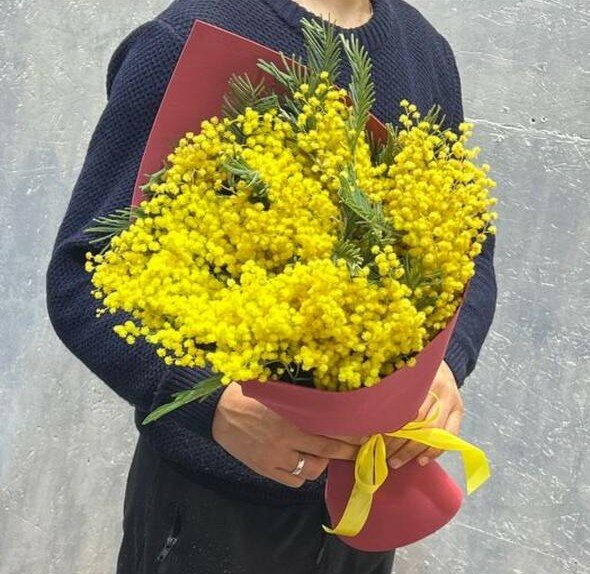 Букет мимозы в красной упаковке, 9 веток