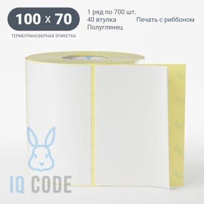 Термотрансферная этикетка 100х70 ( 700 шт) ПГЛ диаметр втулки40