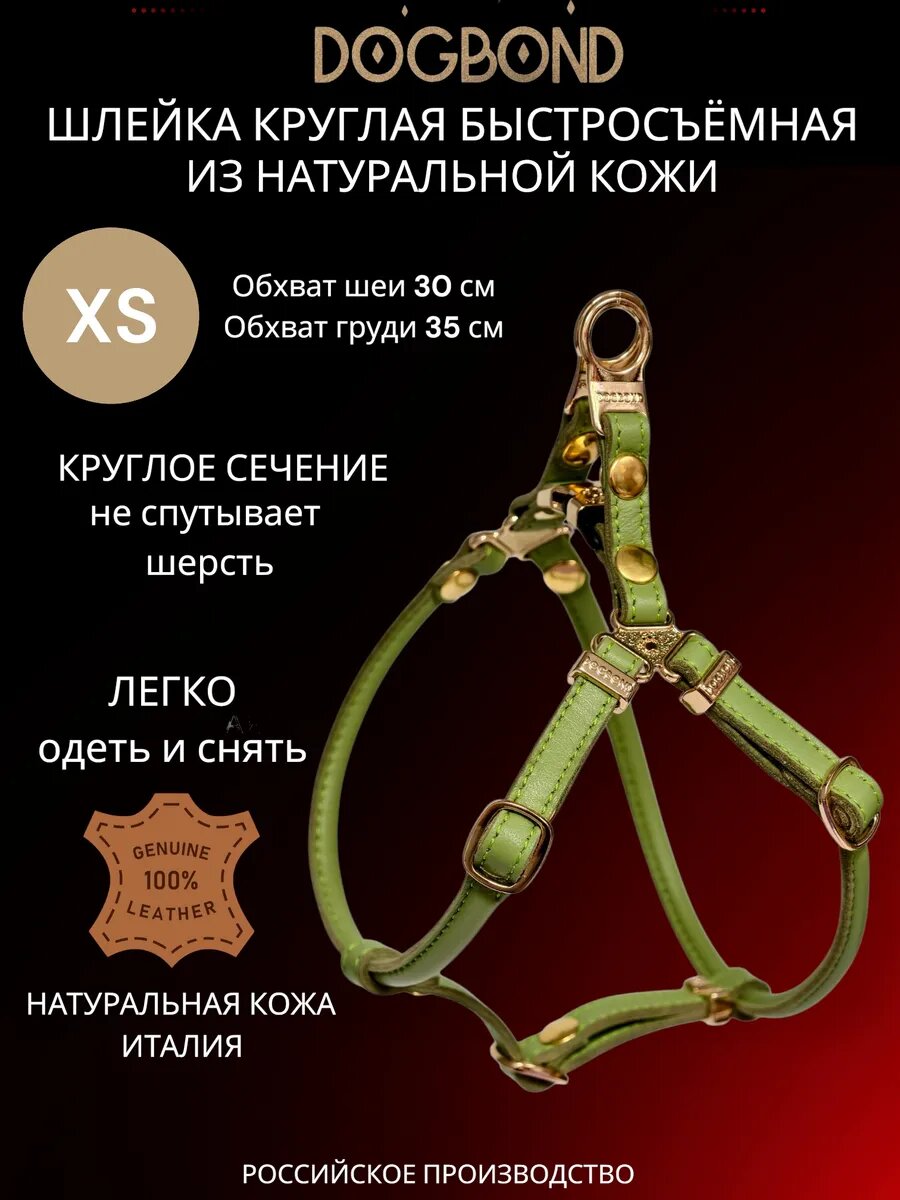 Шлейка Dogbond быстросъемная для шпица круглая из кожи