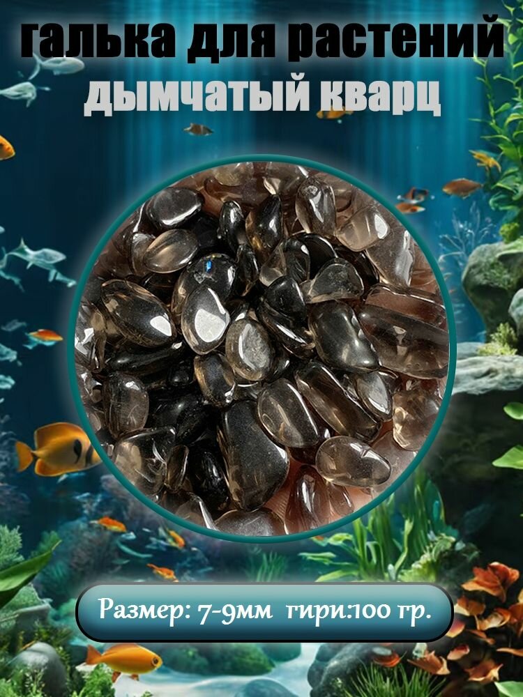 Дымчатый кварц Грунт для аквариума и растений , кактуса и суккулентов , Каспийская галька 7-9 мм, 100 гр.