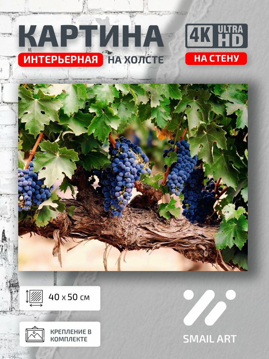 Картина на холсте интерьерная 40 на 50 на стену Деревья grapes для гостиной пейзаж интерьер