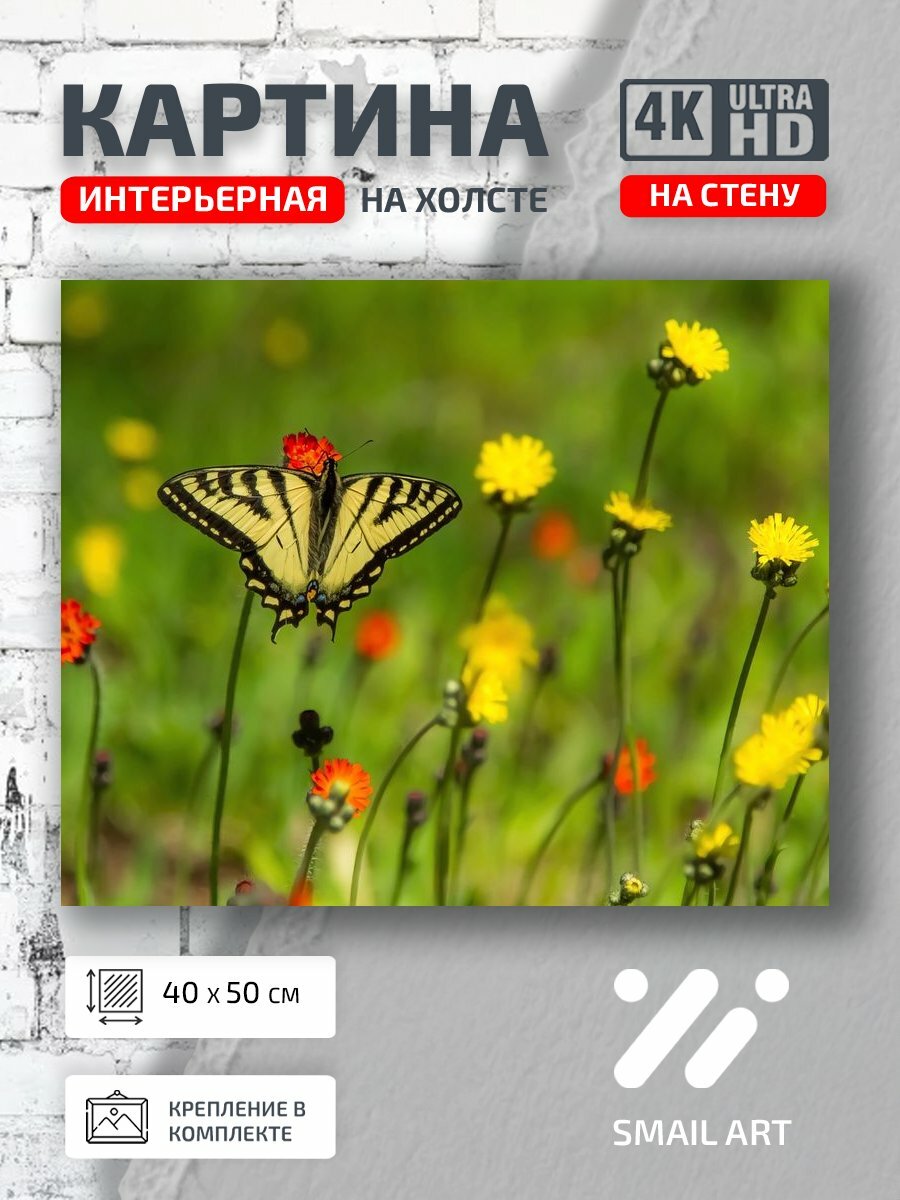 Картина на холсте интерьерная 40 на 50 на стену Бабочка Landscape для кабинета пейзаж декор