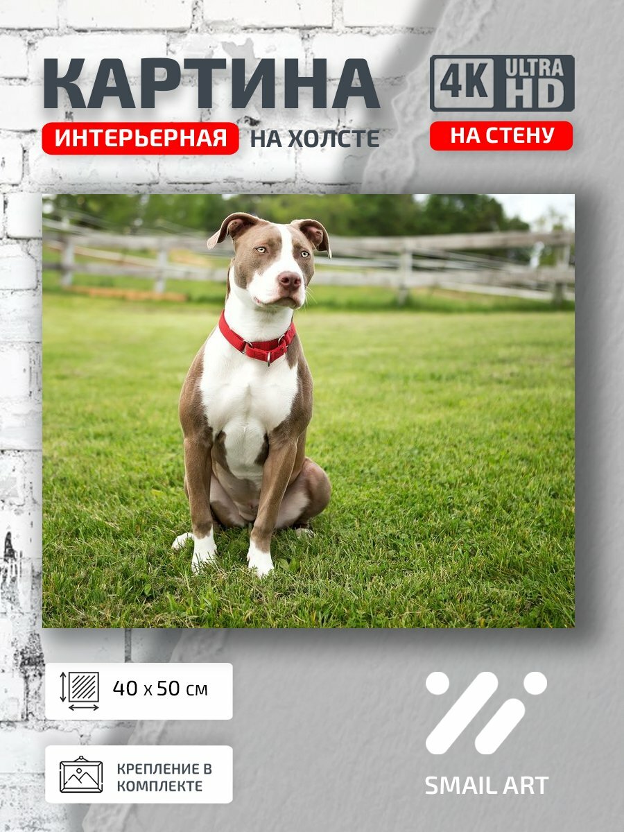 Картина на холсте интерьерная 40 на 50 на стену Питбуль Landscape для гостиной пейзаж декор