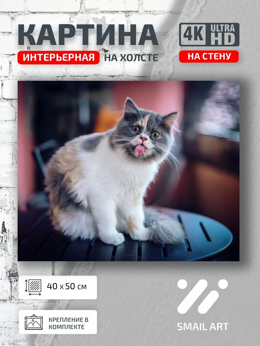 Картина на холсте интерьерная 40 на 50 на стену Язык Animal для детской animal style декор