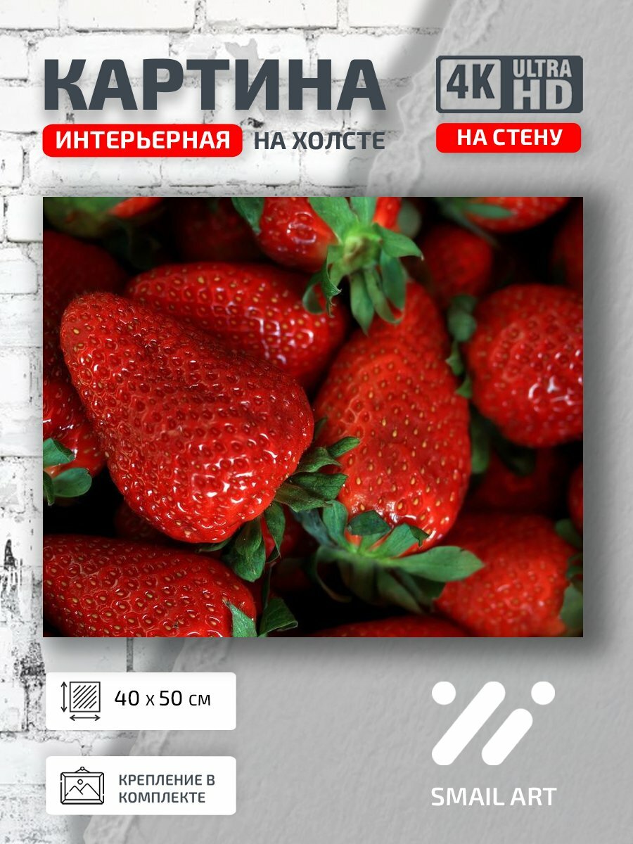 Картина на холсте интерьерная 40 на 50 на стену Красные Food для офиса кулинария интерьер