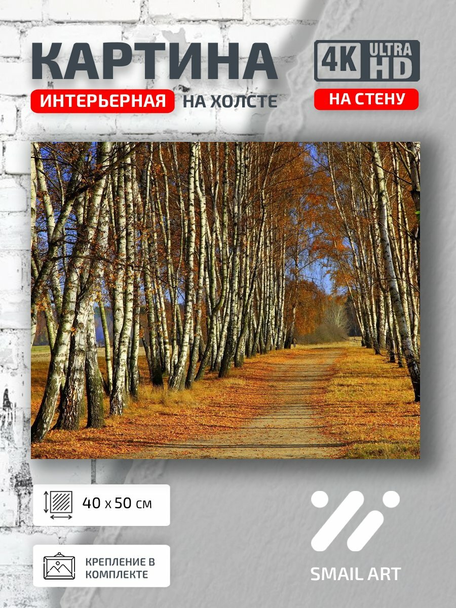 Картина на холсте интерьерная 40 на 50 на стену Аллея Landscape для кафе пейзаж интерьер