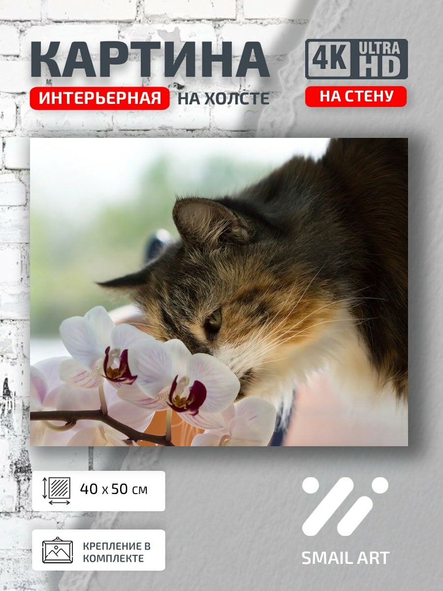 Картина на холсте интерьерная 40 на 50 на стену и цветок для студии атмосфера