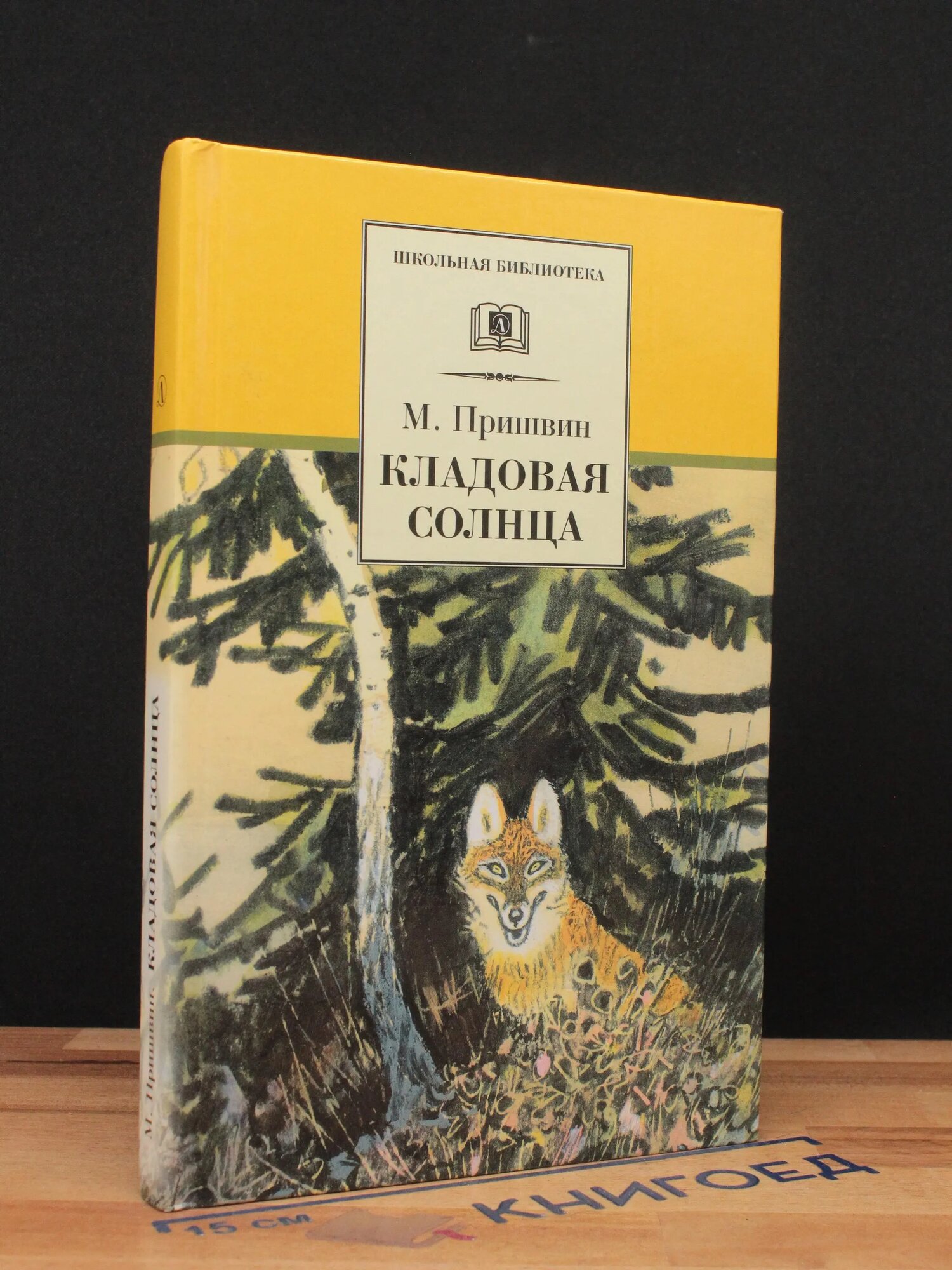 Книга. Кладовая солнца 2008 (20373946700418)