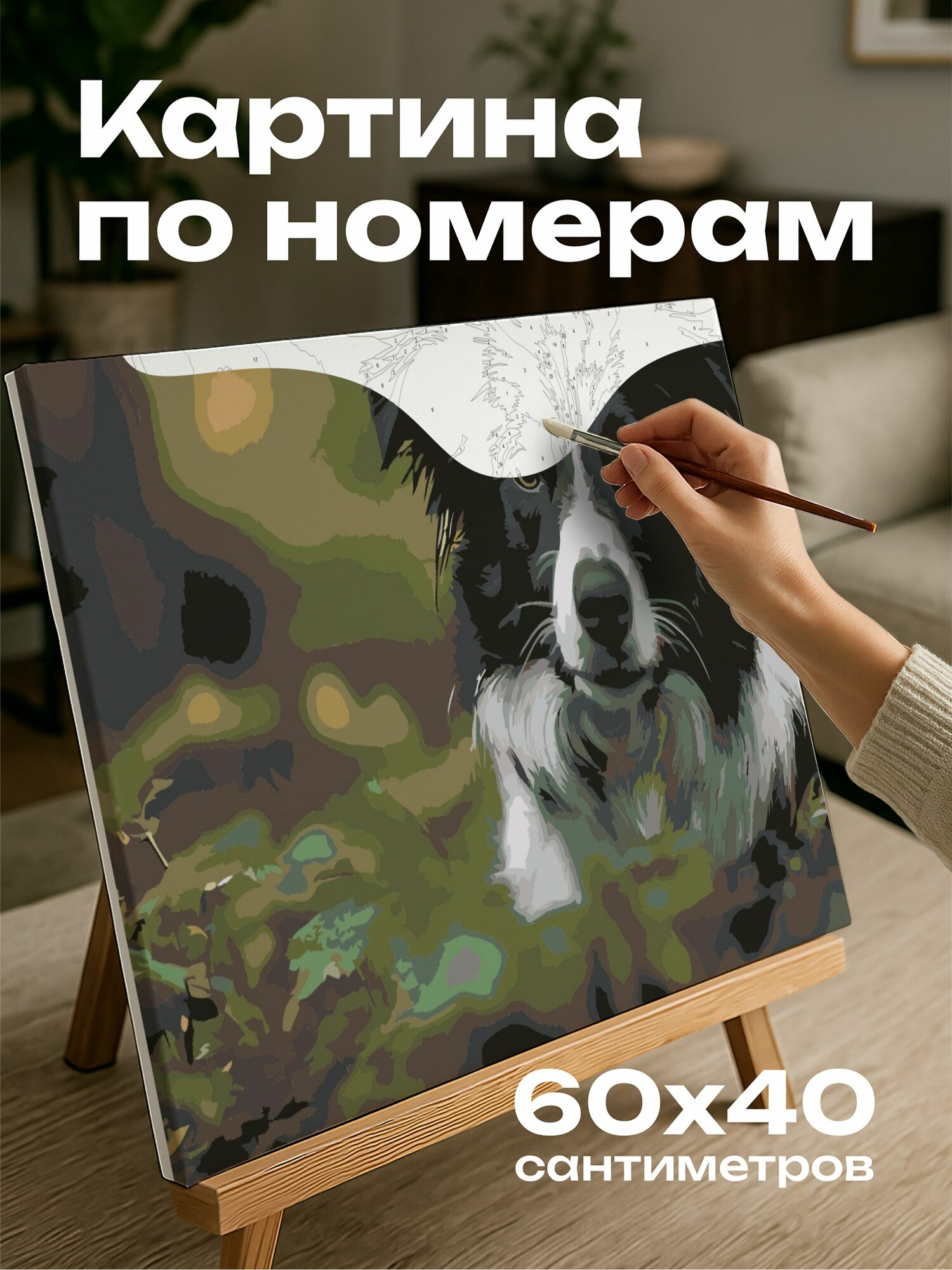 Картина по номерам 60x40 см, Колли, высокое разрешение, естественная обстановка, живость, внимательность, черты лица, f