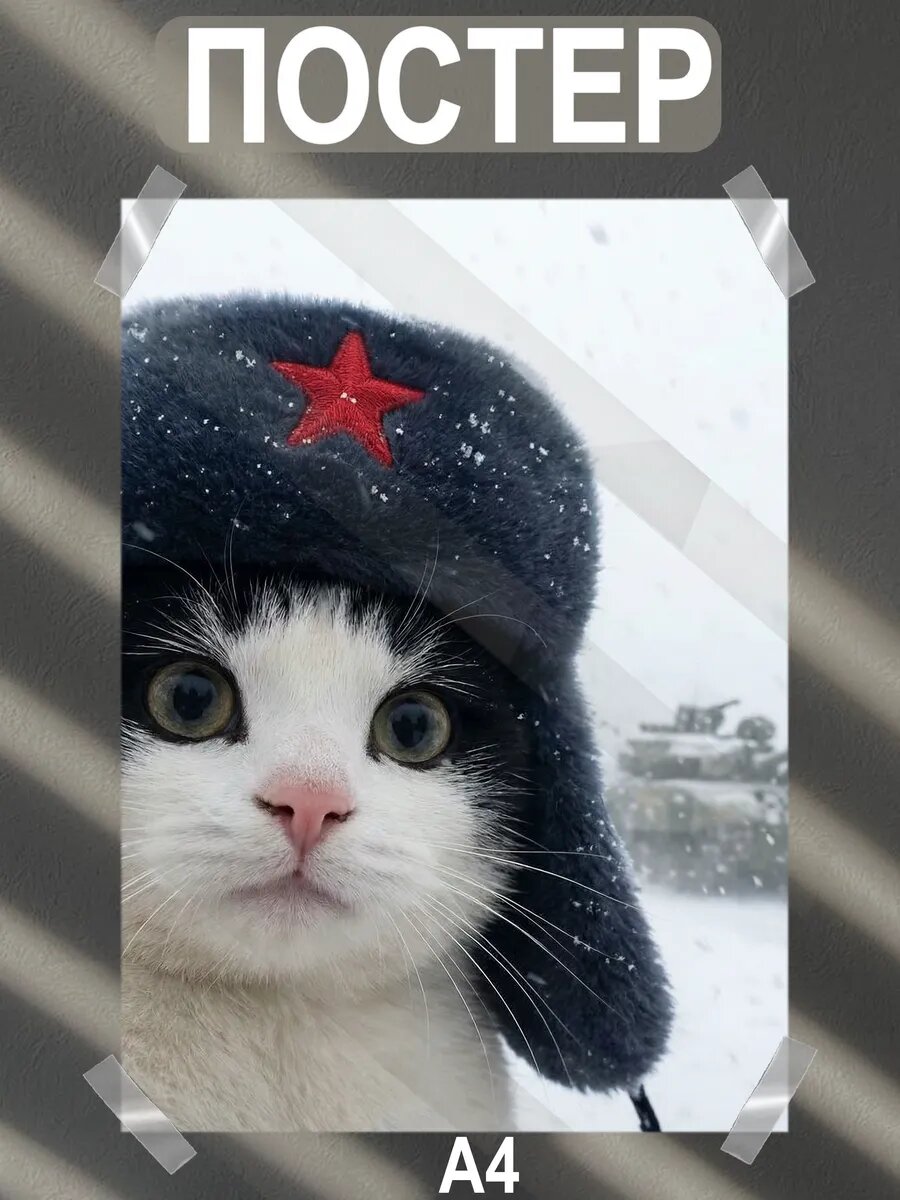Постер интерьерный на стену а4 мем