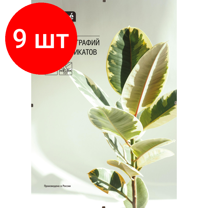 Комплект 9 штук, Рамка Attache клип 21х30