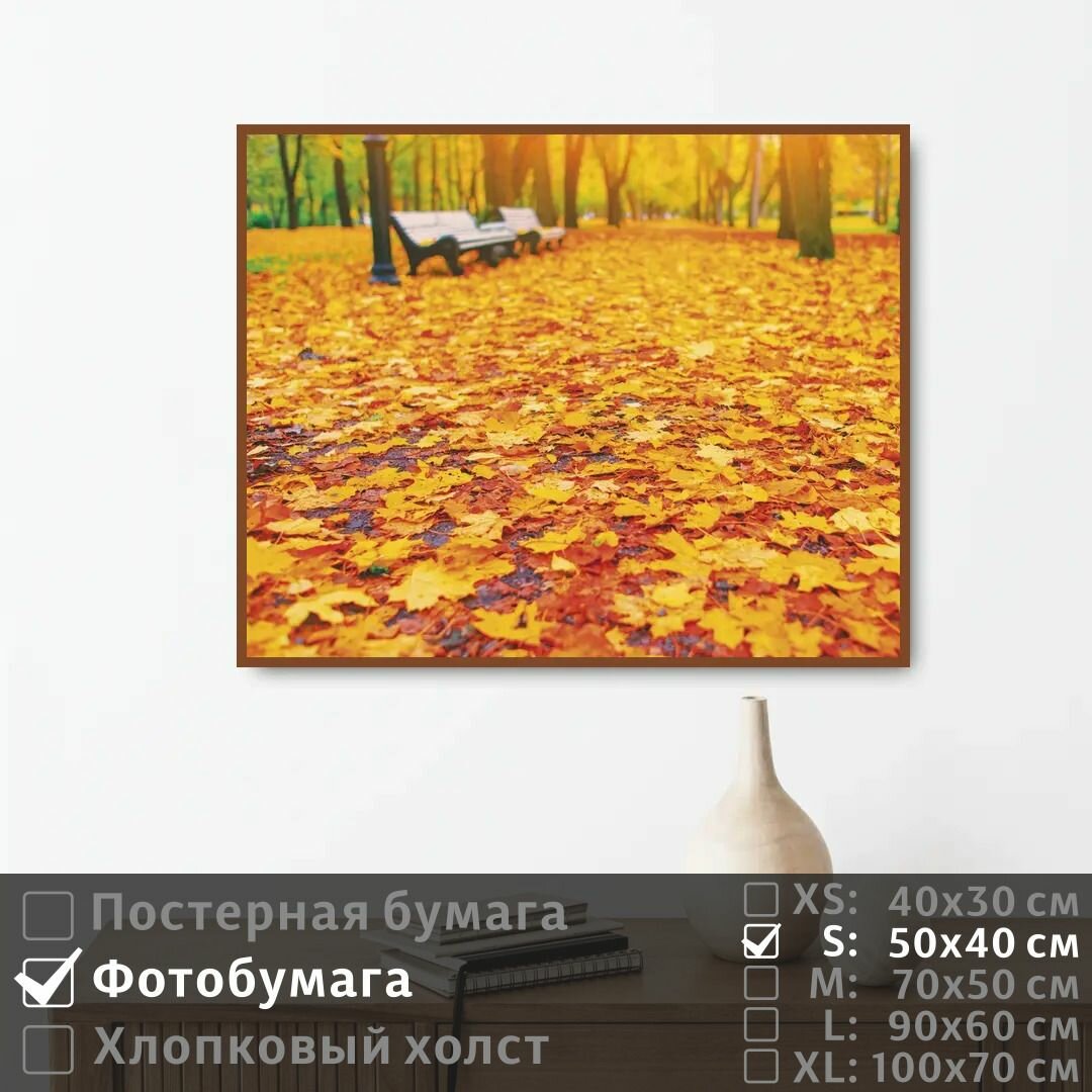 Постер на фотобумаге Осенние Листья На Тропинке В Городском Парке 50х40 см ПолиЦентр
