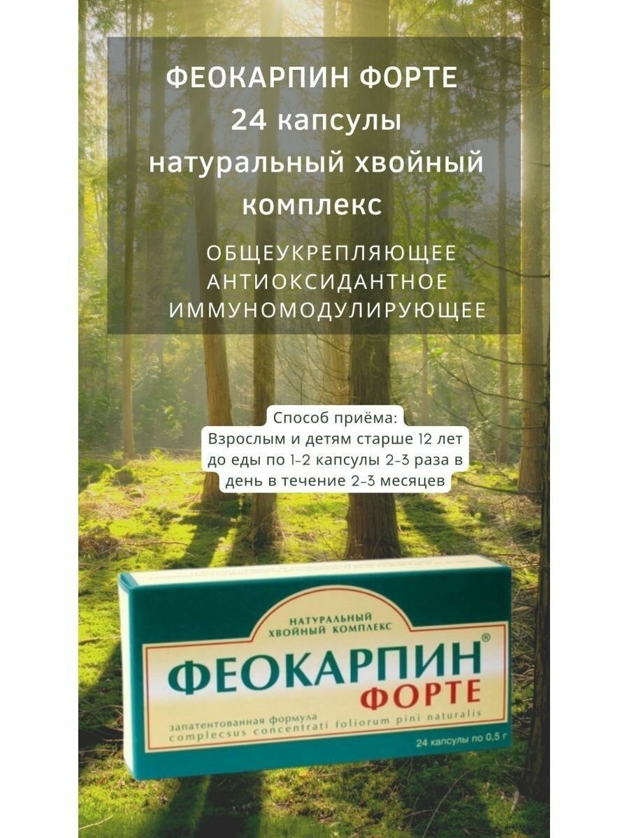 Феокарпин Форте 24 капсулы поливитамины хвойный комплекс
