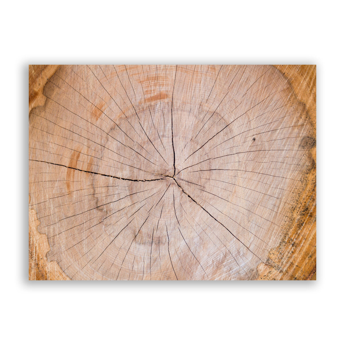 Постер, плакат на бумаге / Древесина / Размер 30 x 40 см