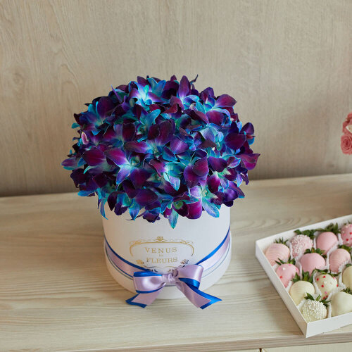 Букет Venus in Fleurs "Синие орхидеи", в коробке, 29 цветов, высота 25 см