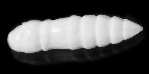 Мягкие приманки Jara Baits Trout Series MOLI MILD-25 Сыр # 701 (15шт), в банке