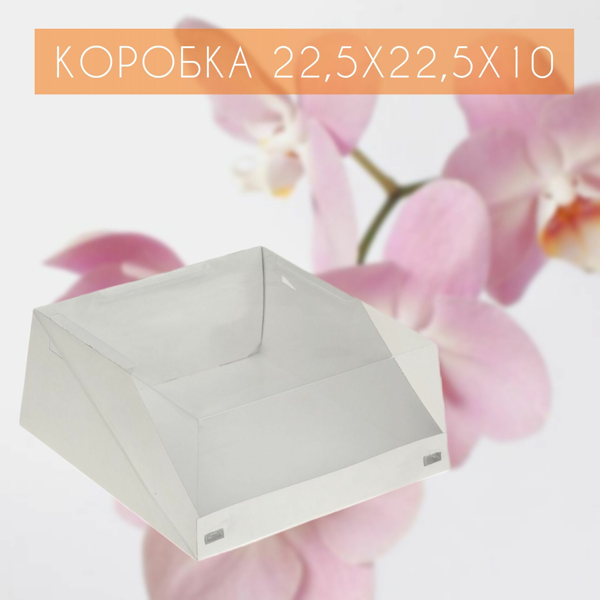 Коробка для торта 22,5 х 22,5 х 10 см