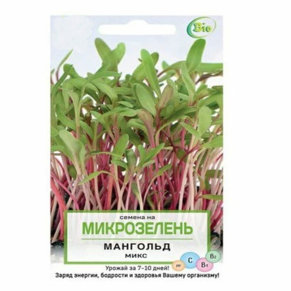 Микрозелень Мангольд Микс 5г, имеет сладковатый, свежий свекольный вкус. Подходит для дополнения и украшения салатов и закусок. Урожайность до 2-3 ростков из одного семени.