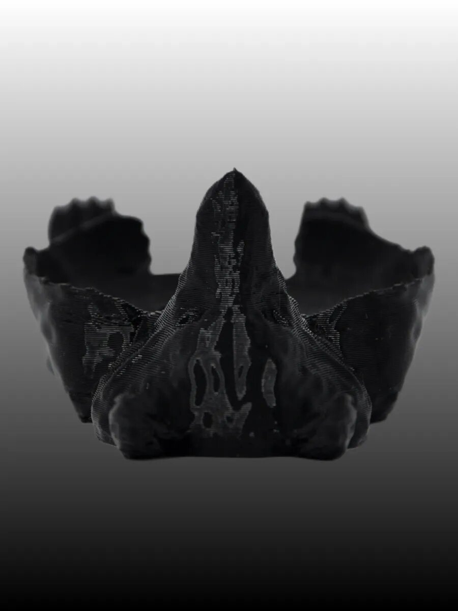 Мыльница "Black Wolf" — фото 1