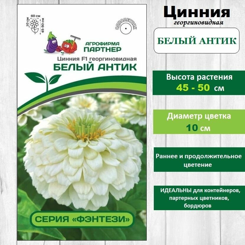 Семена цинния Белый Антик / однолетние цветы / фирма Партнер, 1 шт