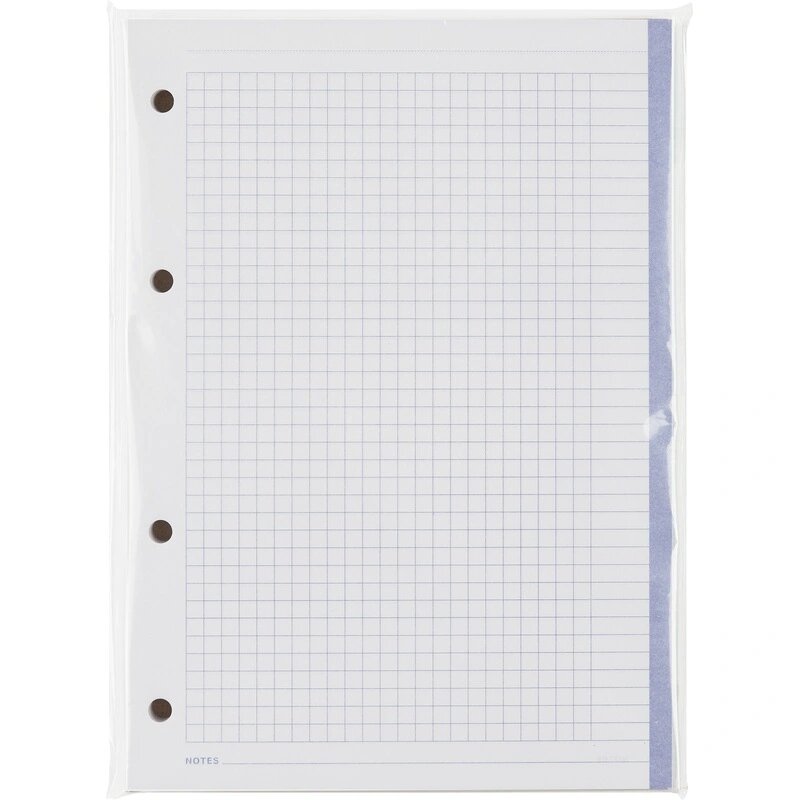 Сменный блок для тетрадей на кольцах, BeSmart А5 120л клетка Цветной N001d