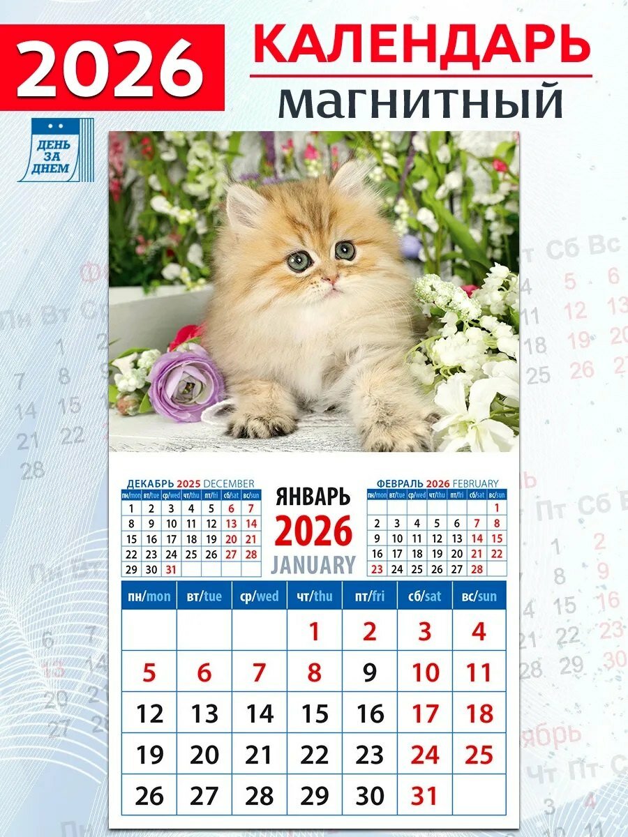 Календарь 2026г 94*167 «Очаровательный котенок» на магните