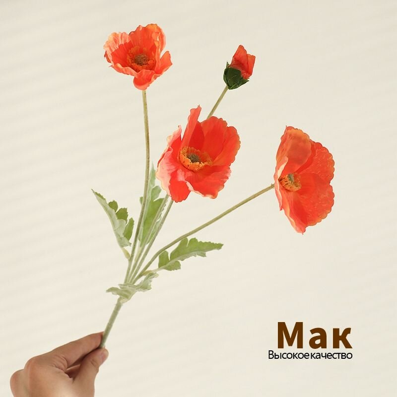 Стабилизированные цветы, Мак, 65 см, 5 стеблей