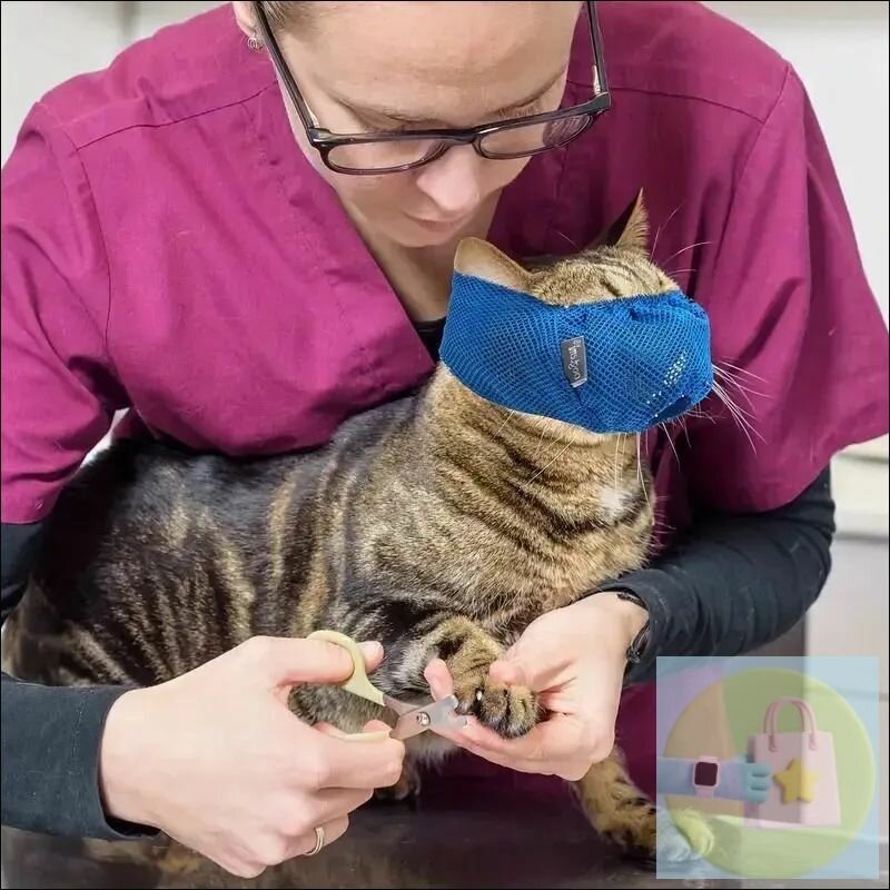 Регулируемый комфортный намордник для кошек с дышащей сеткой, предотвращает кусание и жевание, идеальный аксессуар для ухода