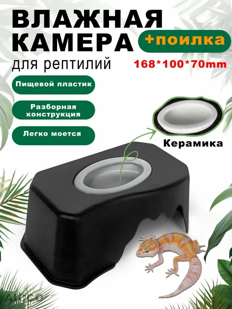 Влажная камера для рептилий /укрытие для рептилий, декор для террариума