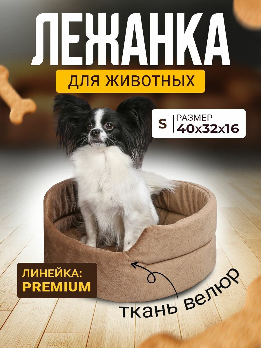 Лежанка для котят и щенков с бортиками Mad Lion Велюр 40х32 см