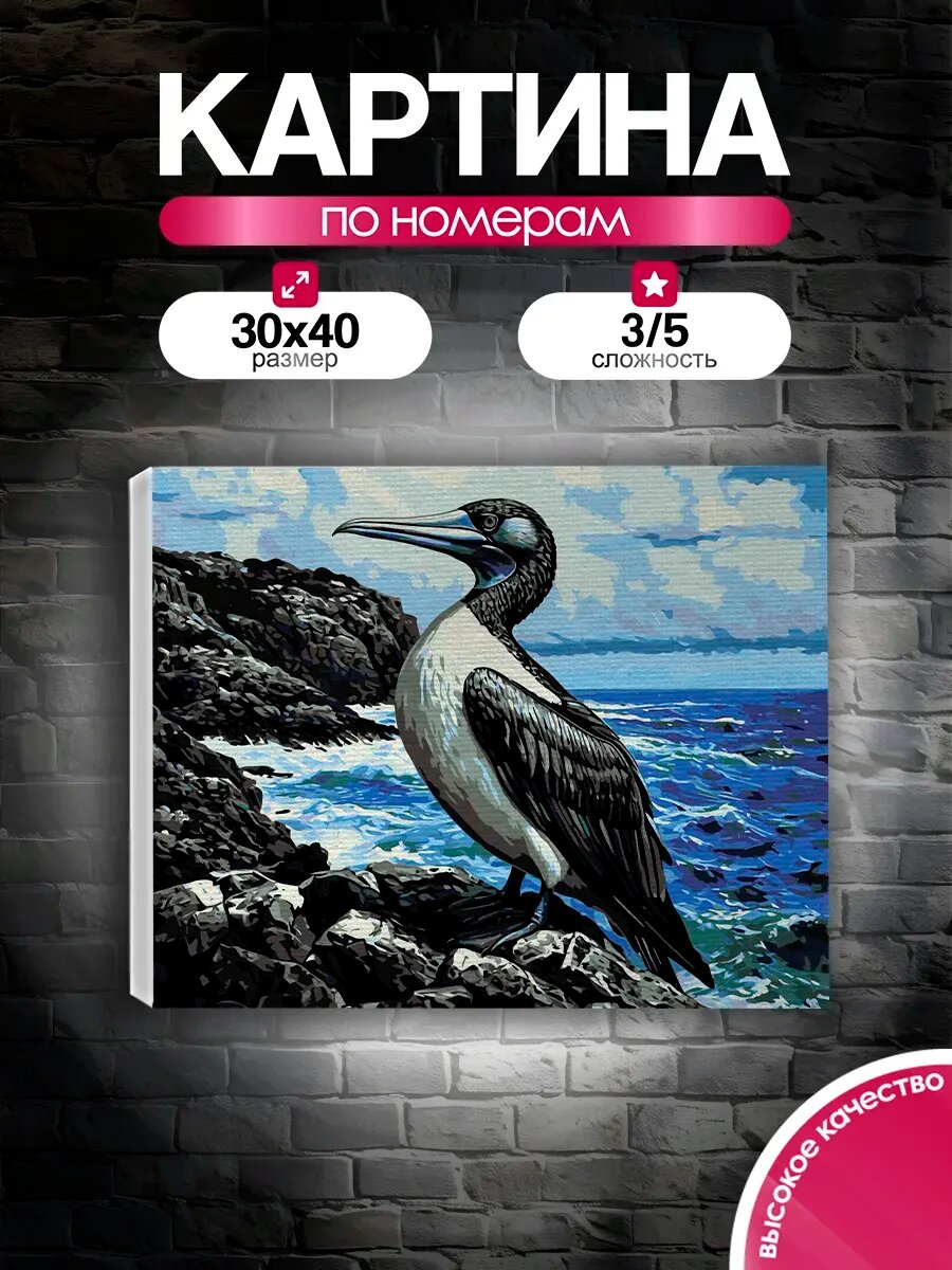 Картина по номерам 30x40 Голубоногая олуша
