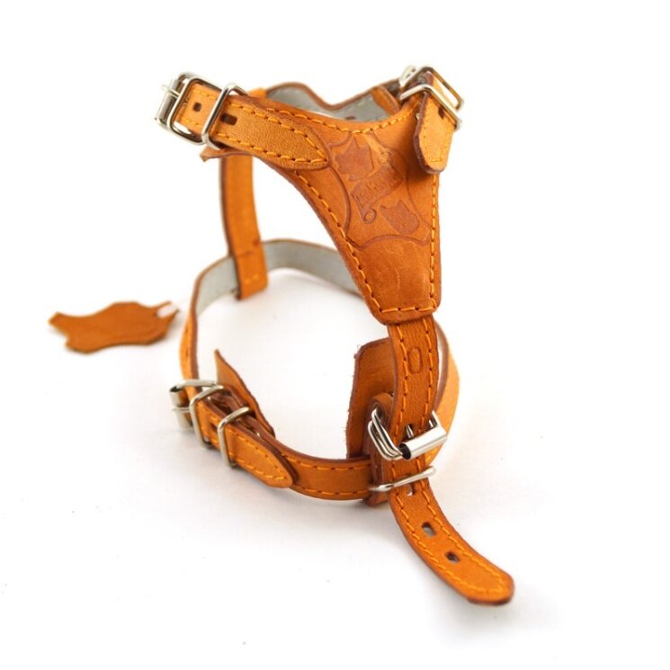 Шлейка Zoomaster 15 мм, 45 см (Чёрная)