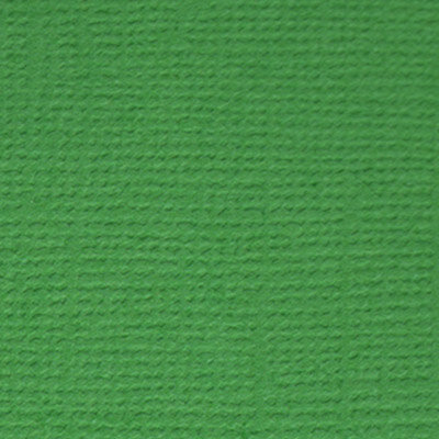 Бумага для скрапбукинга "Mr.Painter" PST 216 г/кв. м 30.5 x 30.5 см 26 Лесной папоротник (т. зелёный)