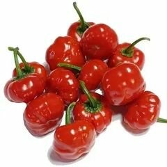 Семена Острый перец Aji Brazilian Pumpkin (Бразильская тыква), 10 семян