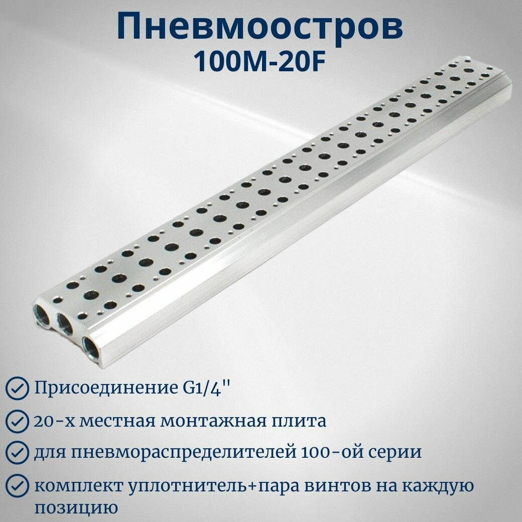 Плита монтажная 100M-20F
