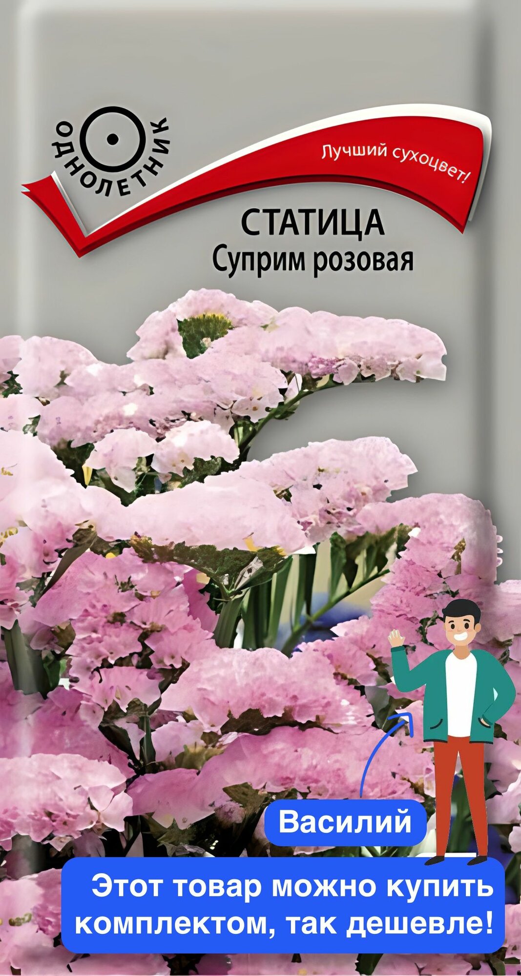 Цветы Статица (выемчатая) Суприм розовая