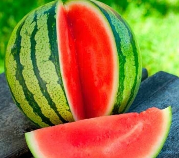 Семена Арбуз Регус F1 бессемянный 3 шт.