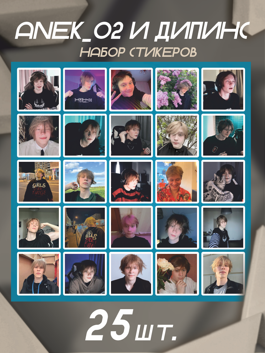 Наклейки на телефон стикеры Дипинс Анек