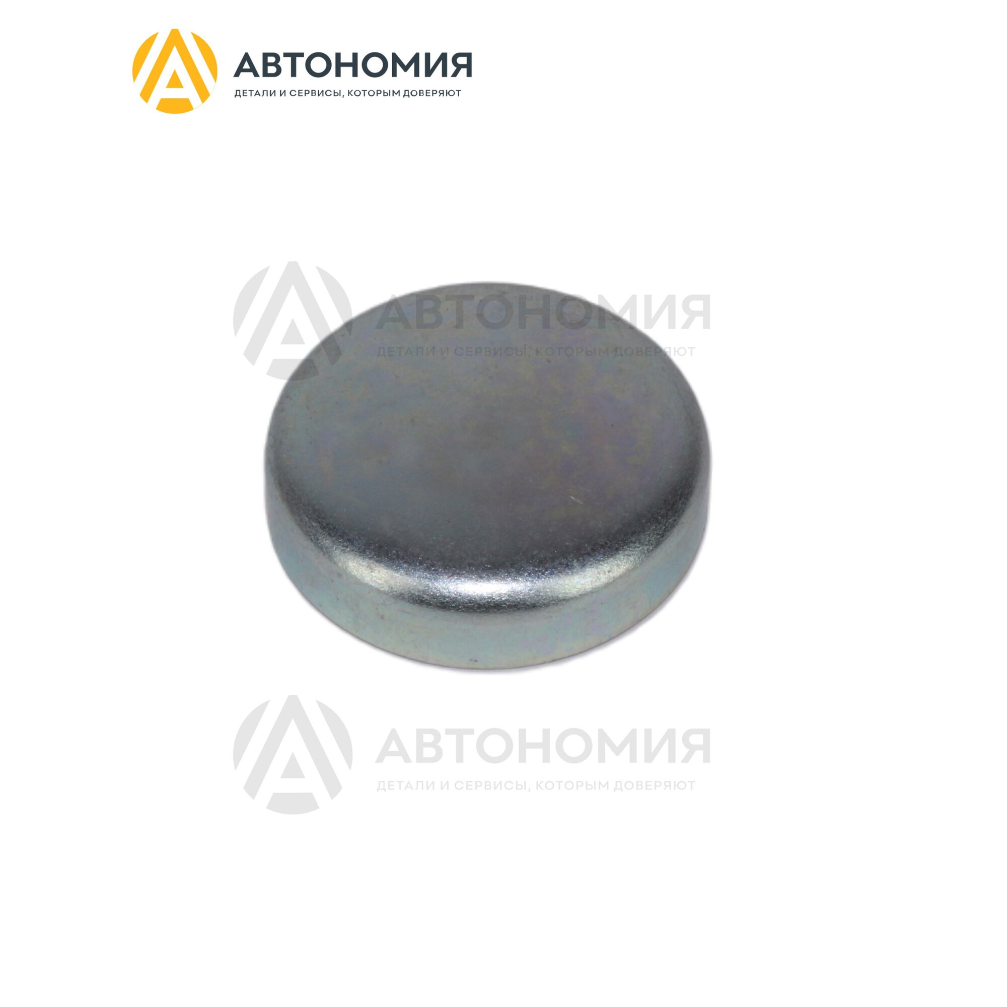 Заглушка головки блока цилиндров Mitsubishi MF665541