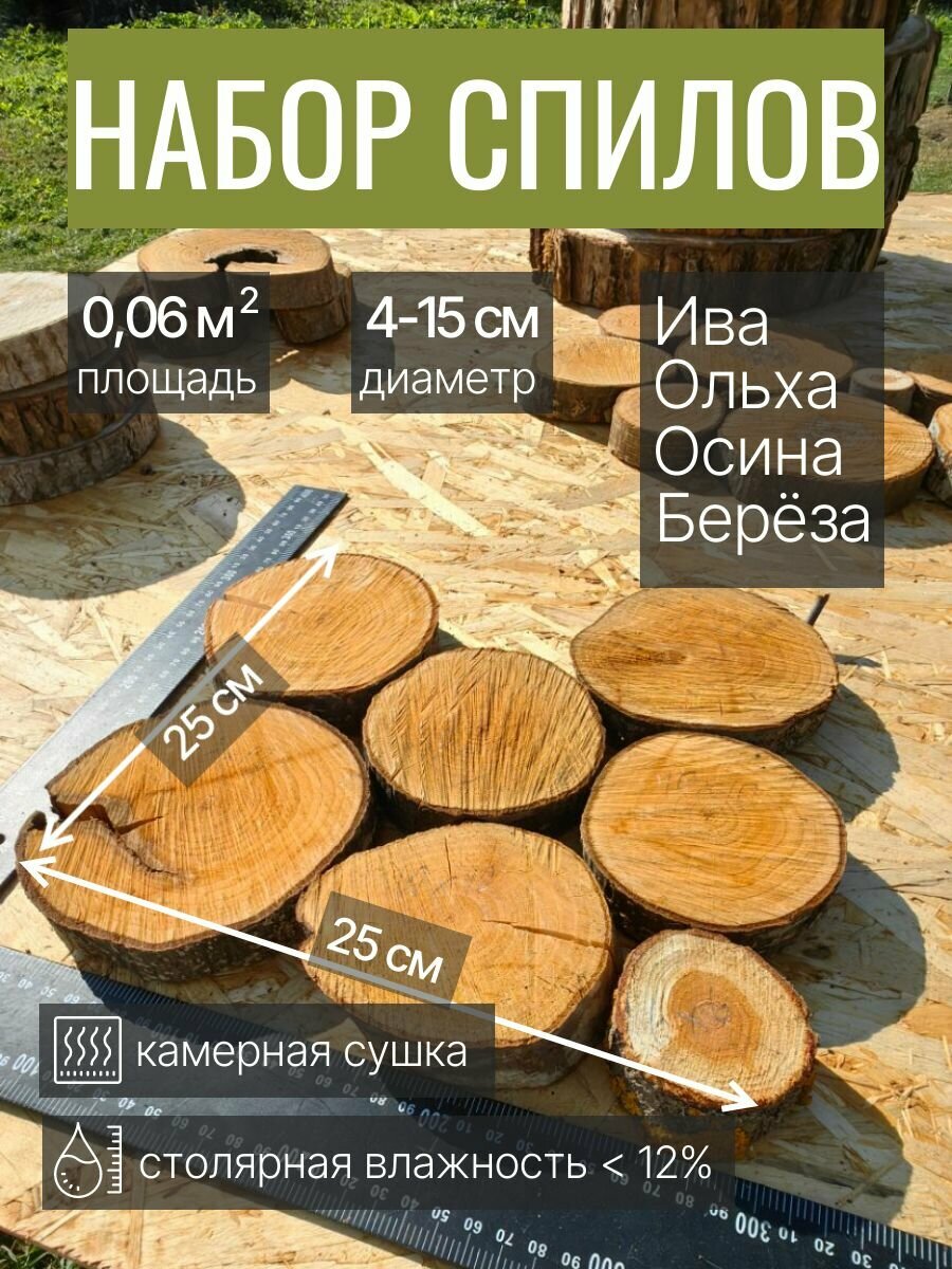 Набор спилов камерной сушки, d 4-14 см. h-3 см S-0.06 кв. м . для дизайна, творчества, трудов и декора.