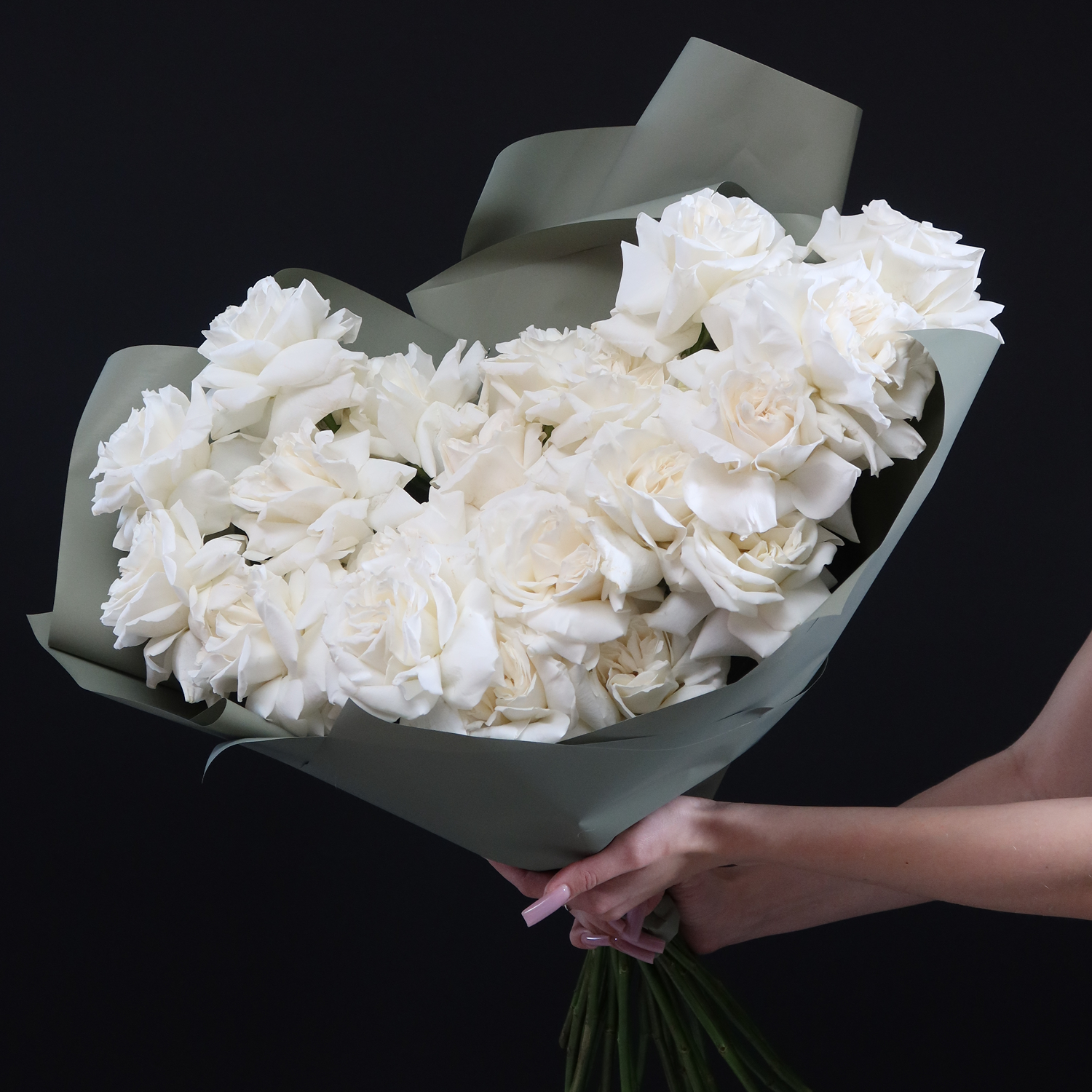 Моно букет с вывернутыми розами, белые французские розы, 25 белых роз